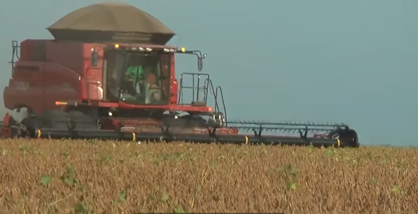 Líderes rurais e indígenas são ameaçados pelo agronegócio no Maranhão ...