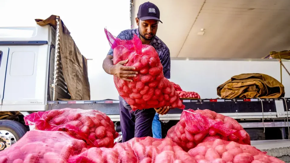 Conab aponta queda de preço da batata e alta da cebola