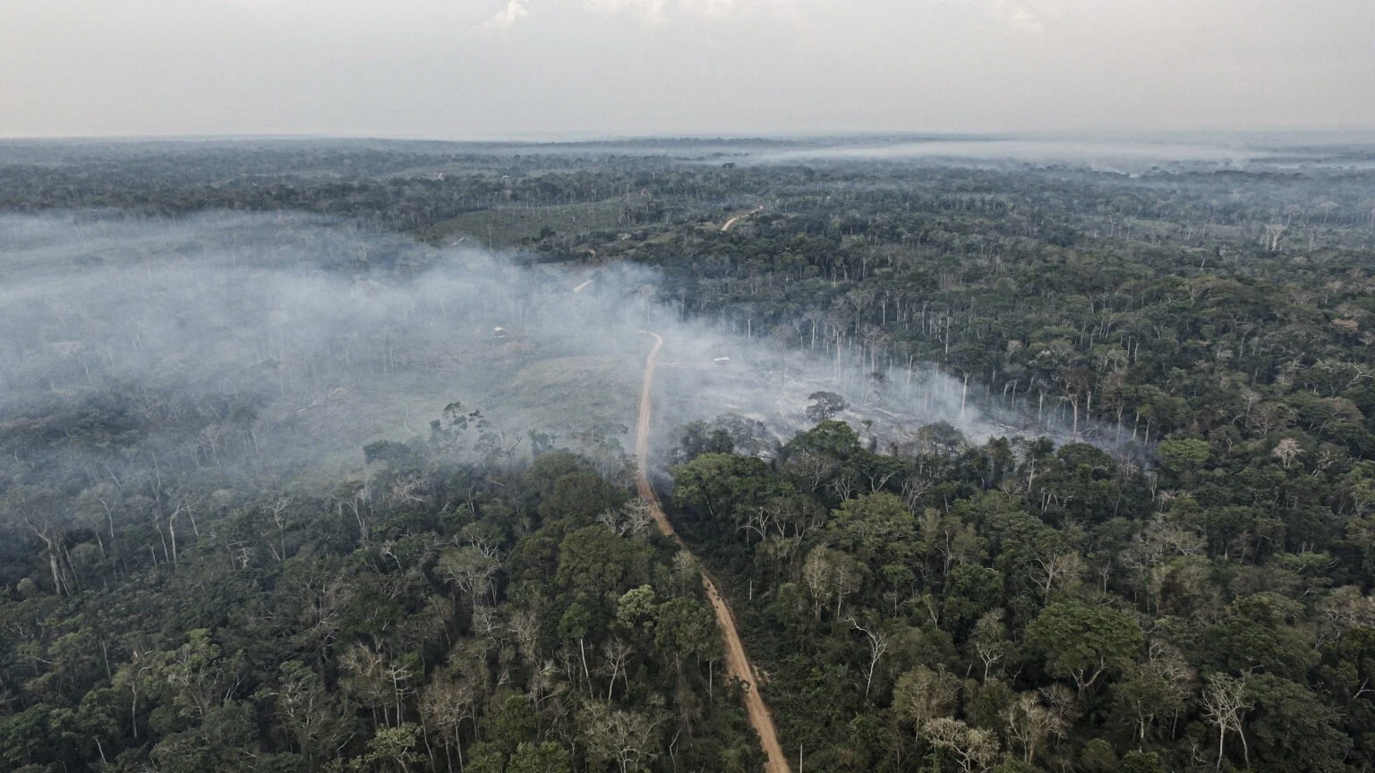 Desmatamento cai 9% na Amazônia e no Cerrado em 2025 - ICL Notícias