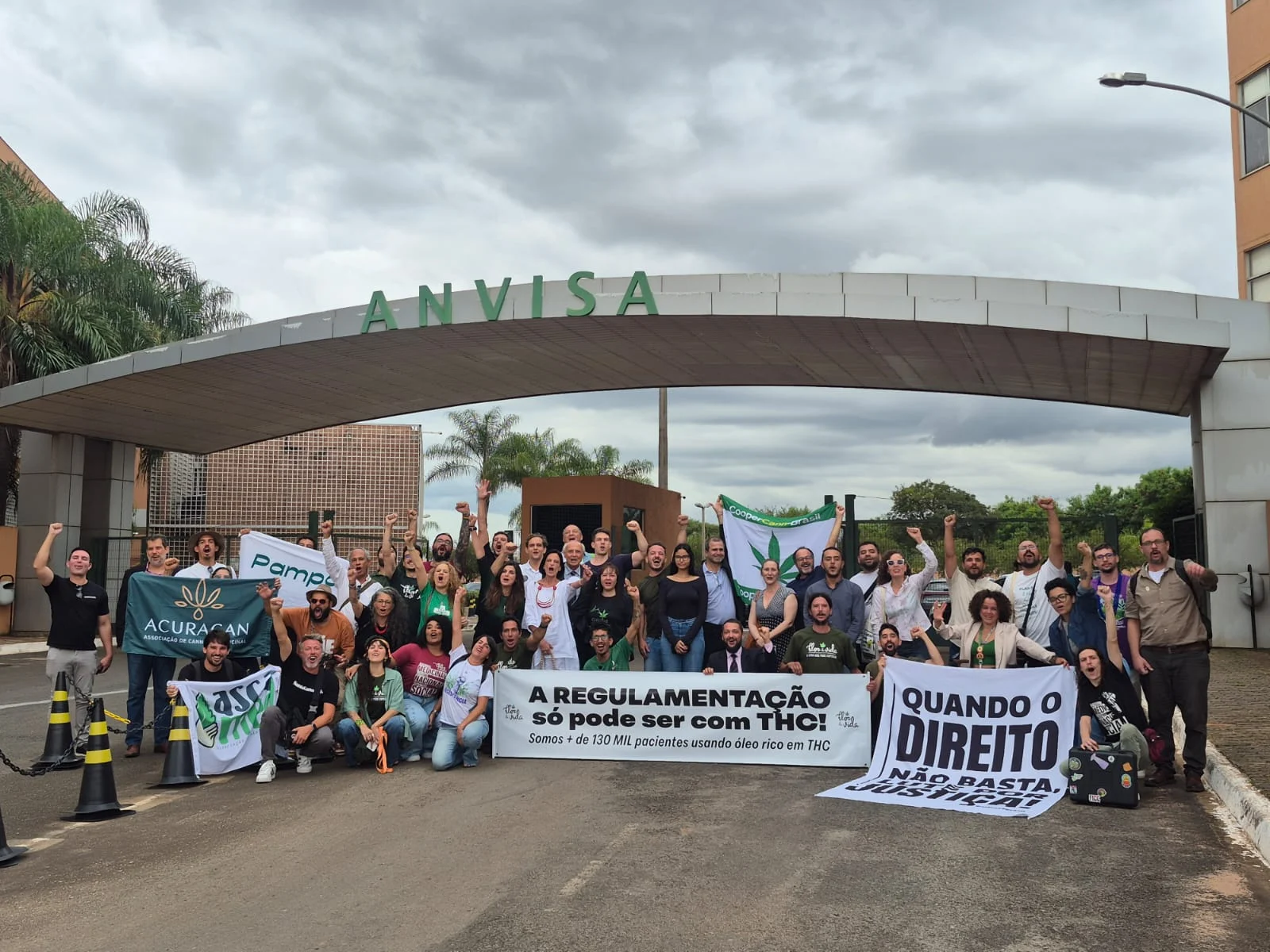 Anvisa aprova regulamentação do cultivo de Cannabis no Brasil para fins ...